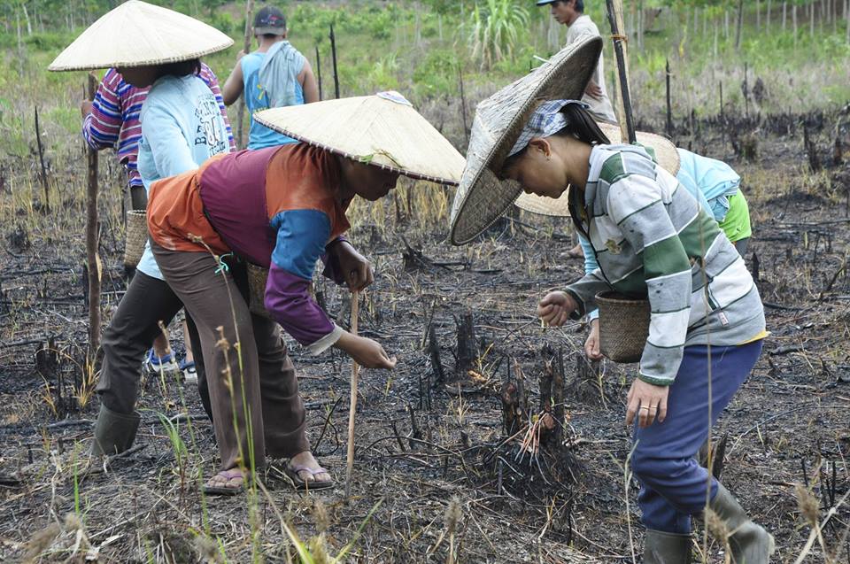 Cetak Ladang - Solusi Untuk Petani Kalteng di Masa Depan
