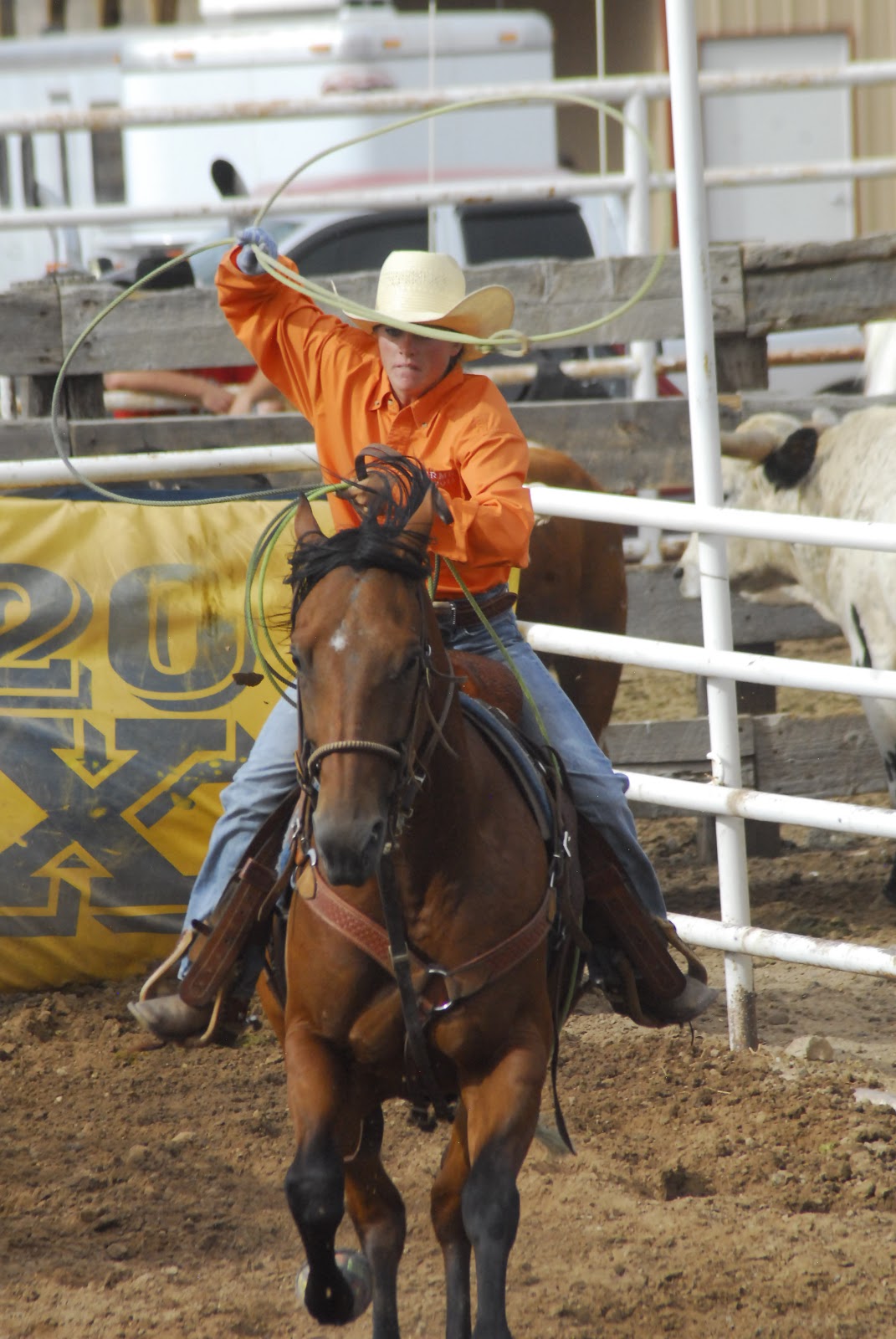 Here's to all about Fruita.: rodeo number 8, 2012