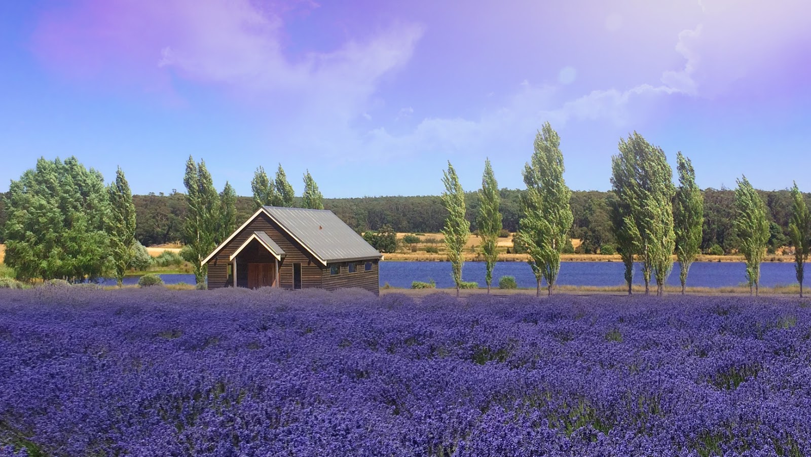 MAP: DAYLESFORD, VICTORIA