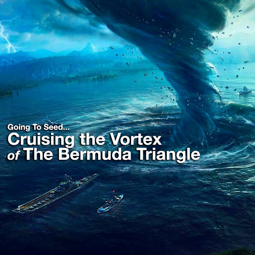 Going To Seed by Katie M Little