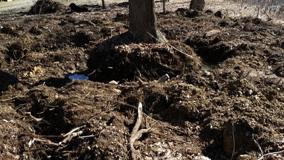 Stone Gate Farm: 2015 - 2016 Off Season Farm Improvement Projects