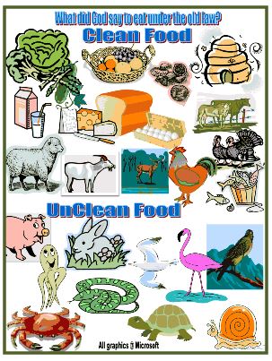 Bible Fun For Kids: Cornelius & Peter’s Vision