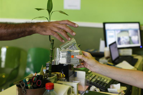 California Marijuana College