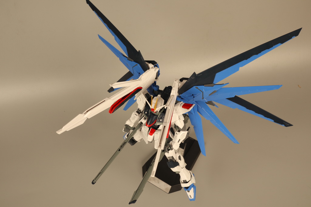 nu Type: Daban Model 6650 Freedom ver.2.0 (review)