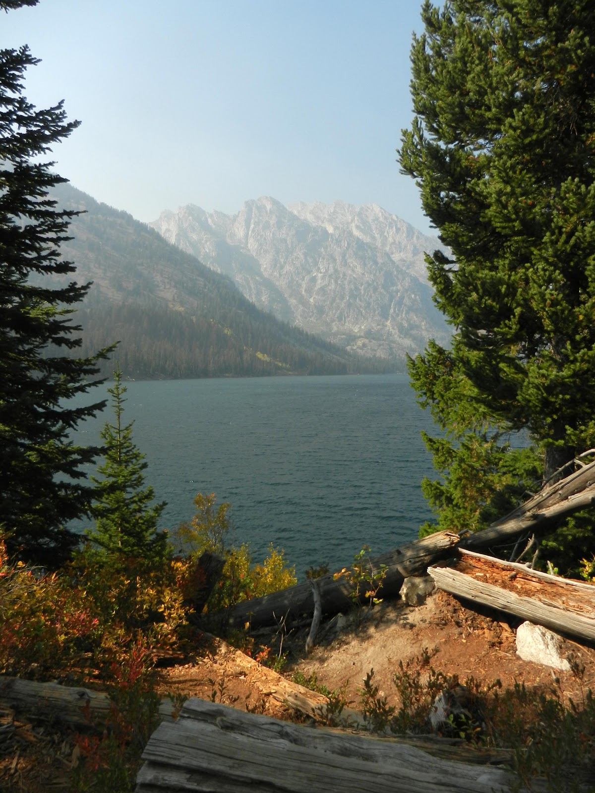 Cat Patches: Moose Ponds Loop Trail