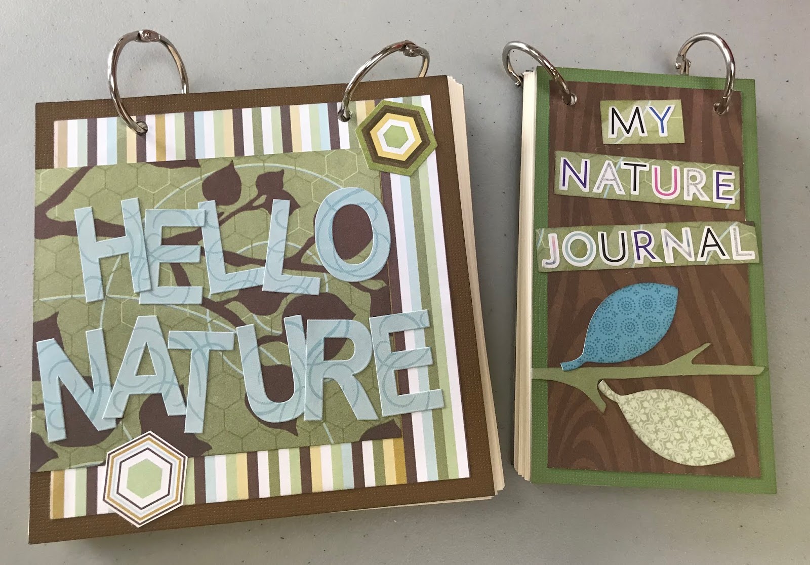 DIY Summer Nature Journals