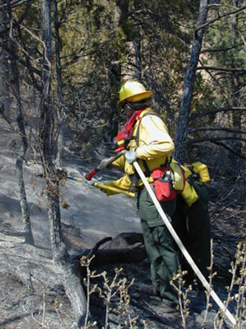 Kenneth Wyatt Photography: The Hayman Fire - 10 Years Later
