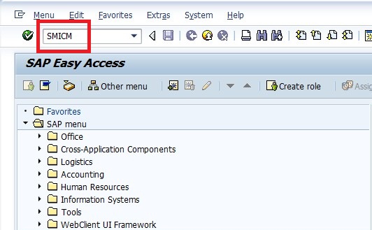 BASIS SAP - Paulo Dond: Acessando SAPGUI via WEB com ITS integrad no ...