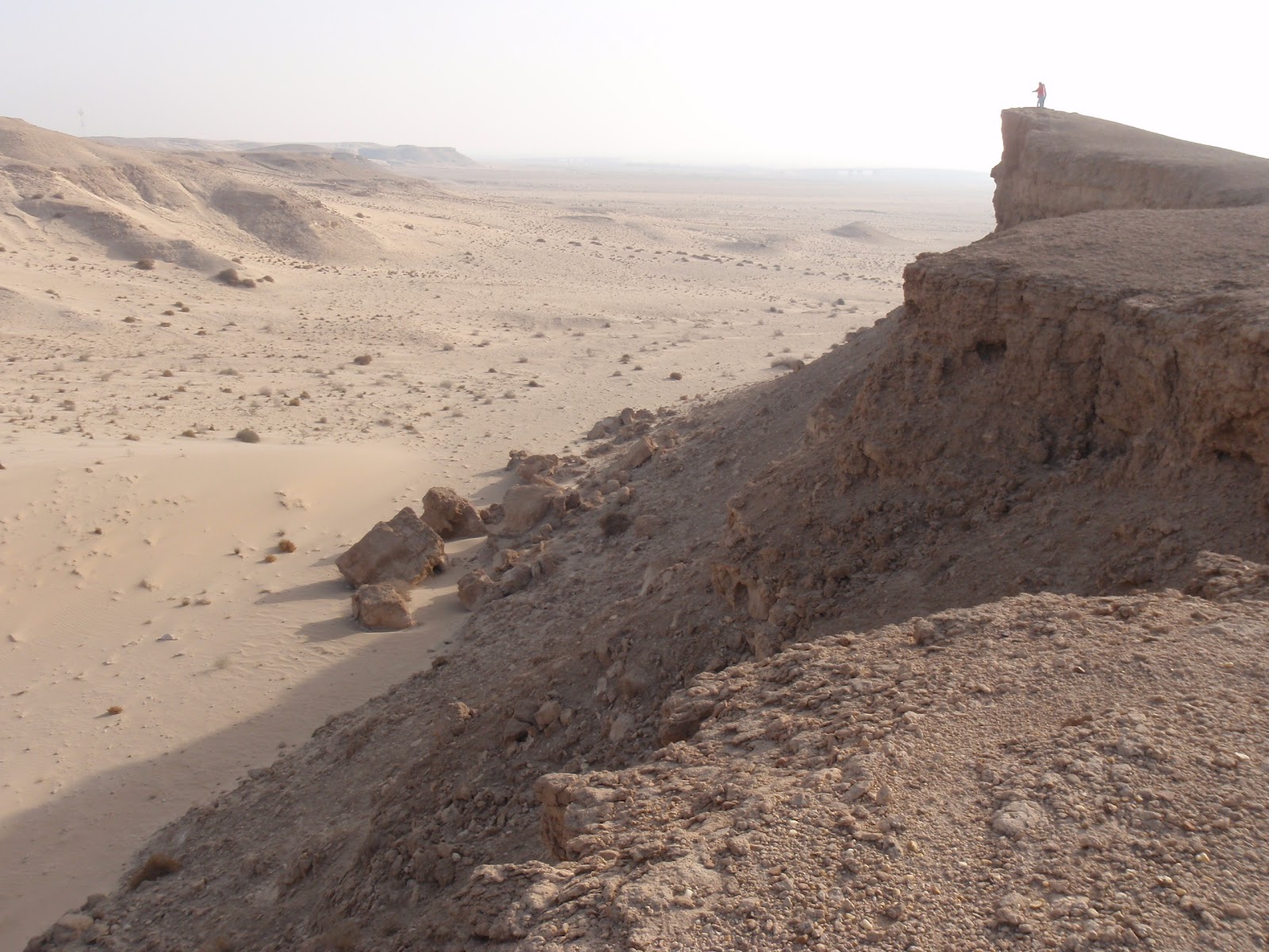 Athens Nature Journal: Kuwait Birding: Nature and culture experiences