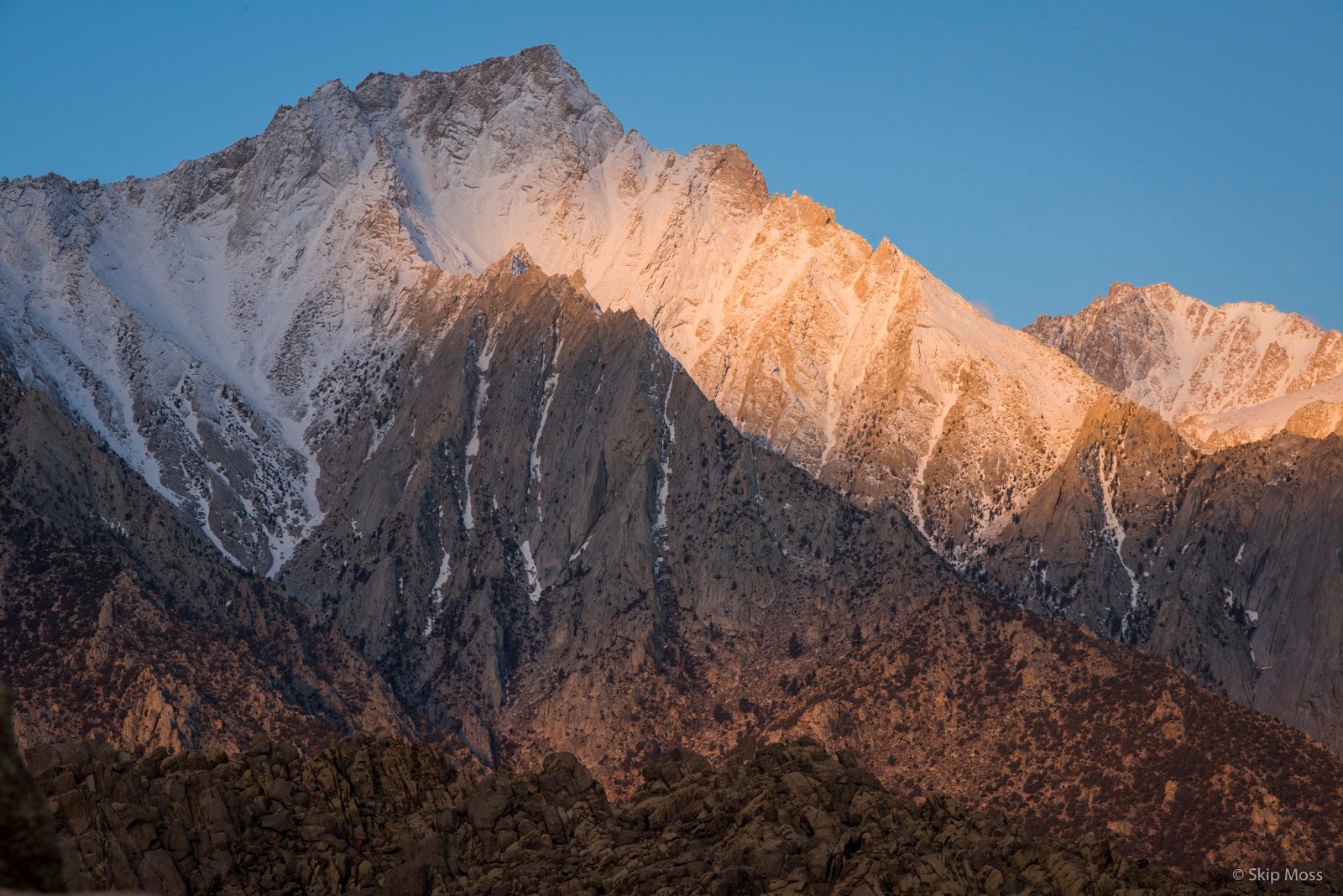 moss images: The First Days of May in the Eastern Sierra