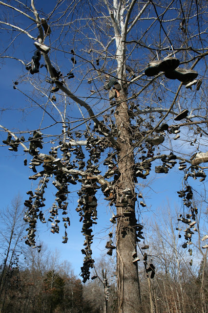 The Carpetbagger: My Quest for a Shoe Tree