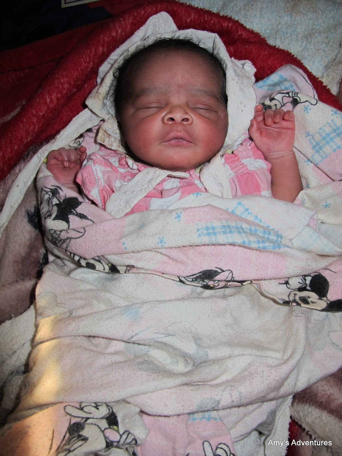 Amy's Assorted Adventures: October 2012