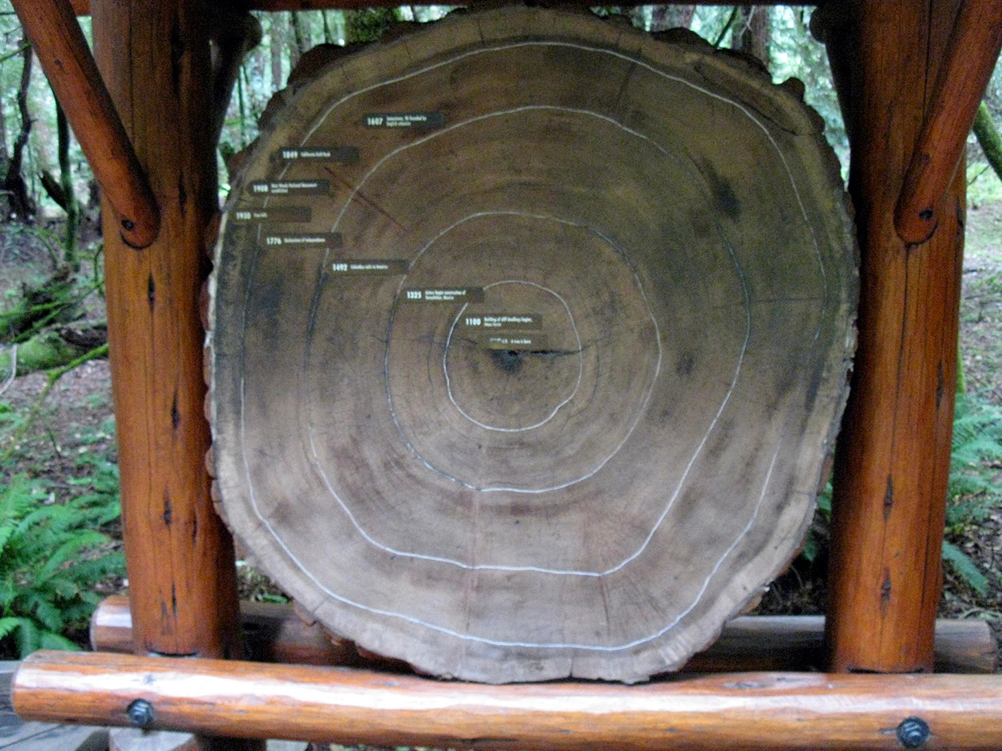 Eccentric Roadside: Now, that's Muir like it: "Vertigo" locale Muir ...