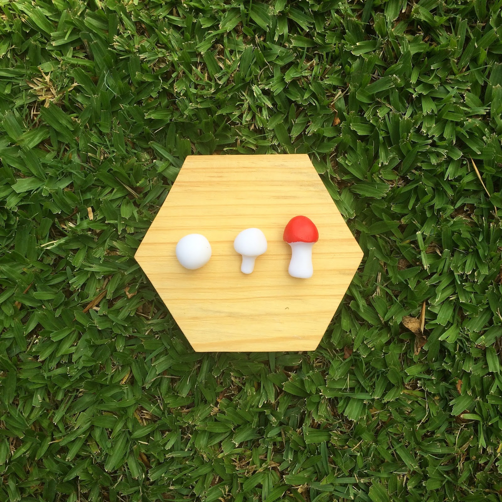 Honguitos DIY / Sólo para Mí