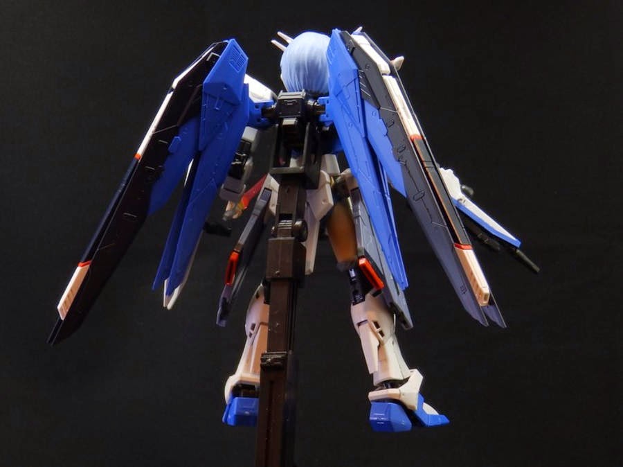 Custom Build: RG x AGP Freedom Gundam Girl