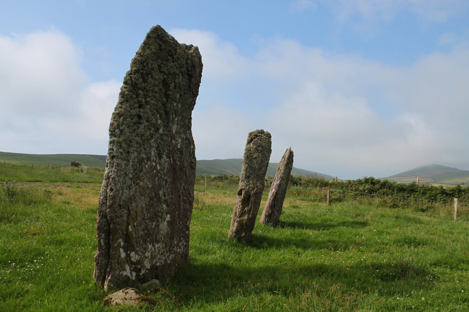 Historic Sites of Ireland: Ardamore Stone Alignment & Standing Stone