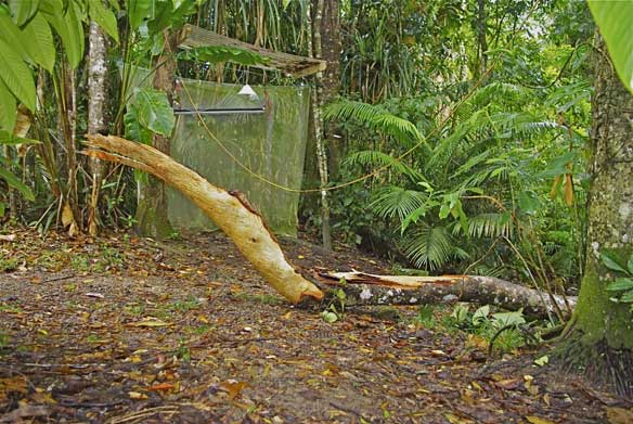 BunyipCo: September 2011