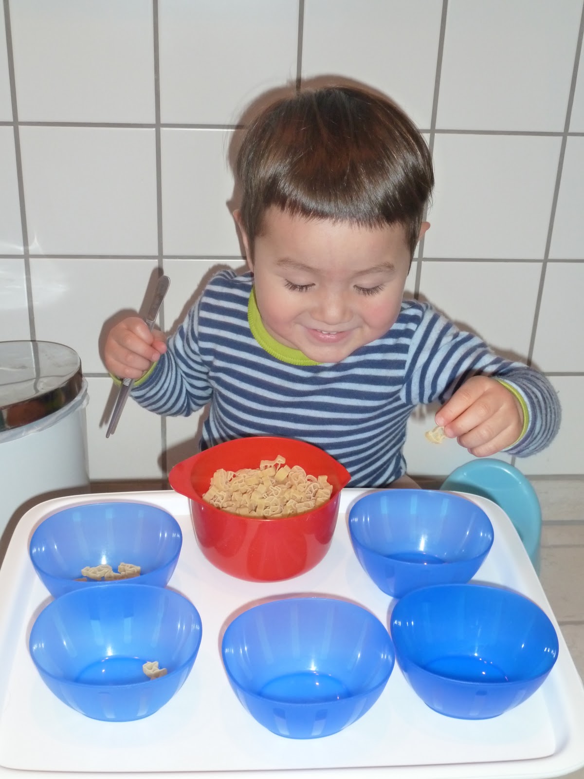Family FECS: Montessori Activity: Sorting Animal-Shaped Pasta