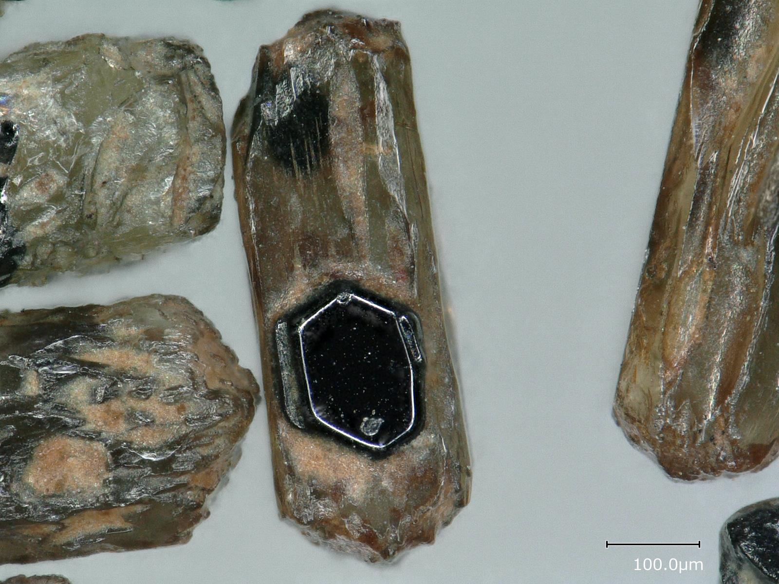 【mineral photo】brown hypersthene crystals from Fukushima, Japan