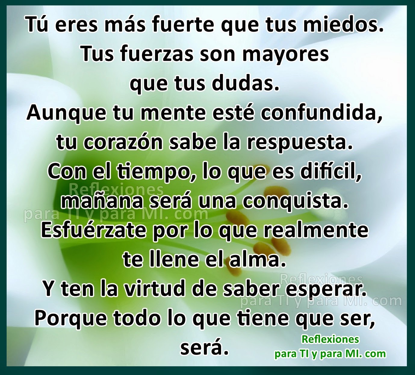 Reflexiones para TI y para MÍ: ** Tú eres más fuerte que tus miedos!