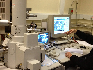 Orto di Casa Cecconi: The Jodrell Lab (Week 6, Wednesday)