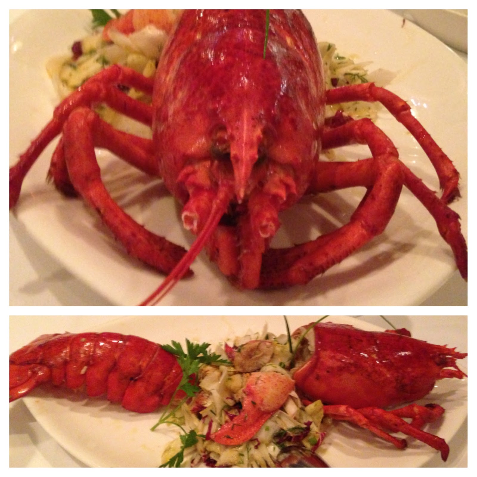 ’13 ILC at Columbia: F.O.M.O -Angela Ning