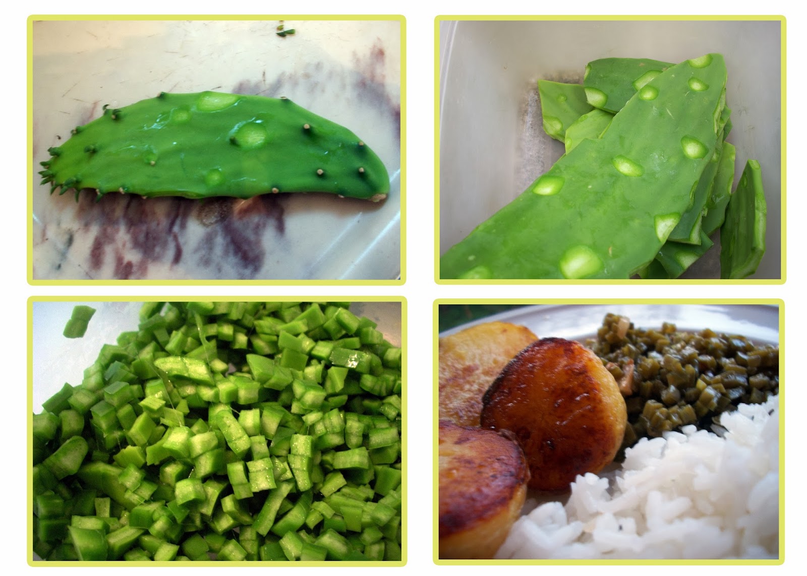 Quanta Gordice: Como Fazer Refogado de Palma - Opuntia ficus-indica