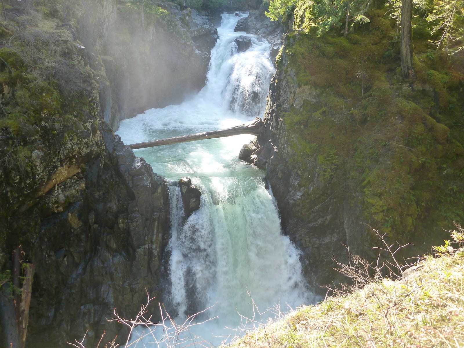 the cynical cyclist: Adventure Number 12: Little Qualicum Falls ...