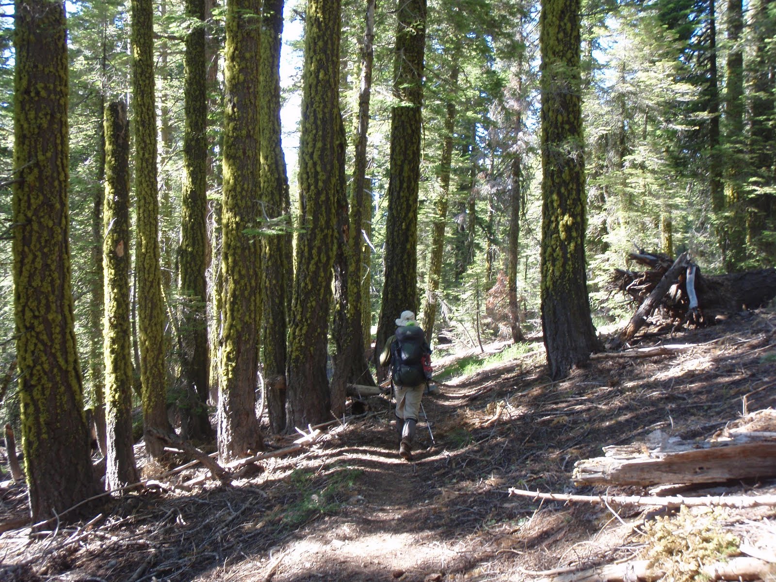 2663: South Lake Tahoe to the Red Moose Cafe in Sierra City!