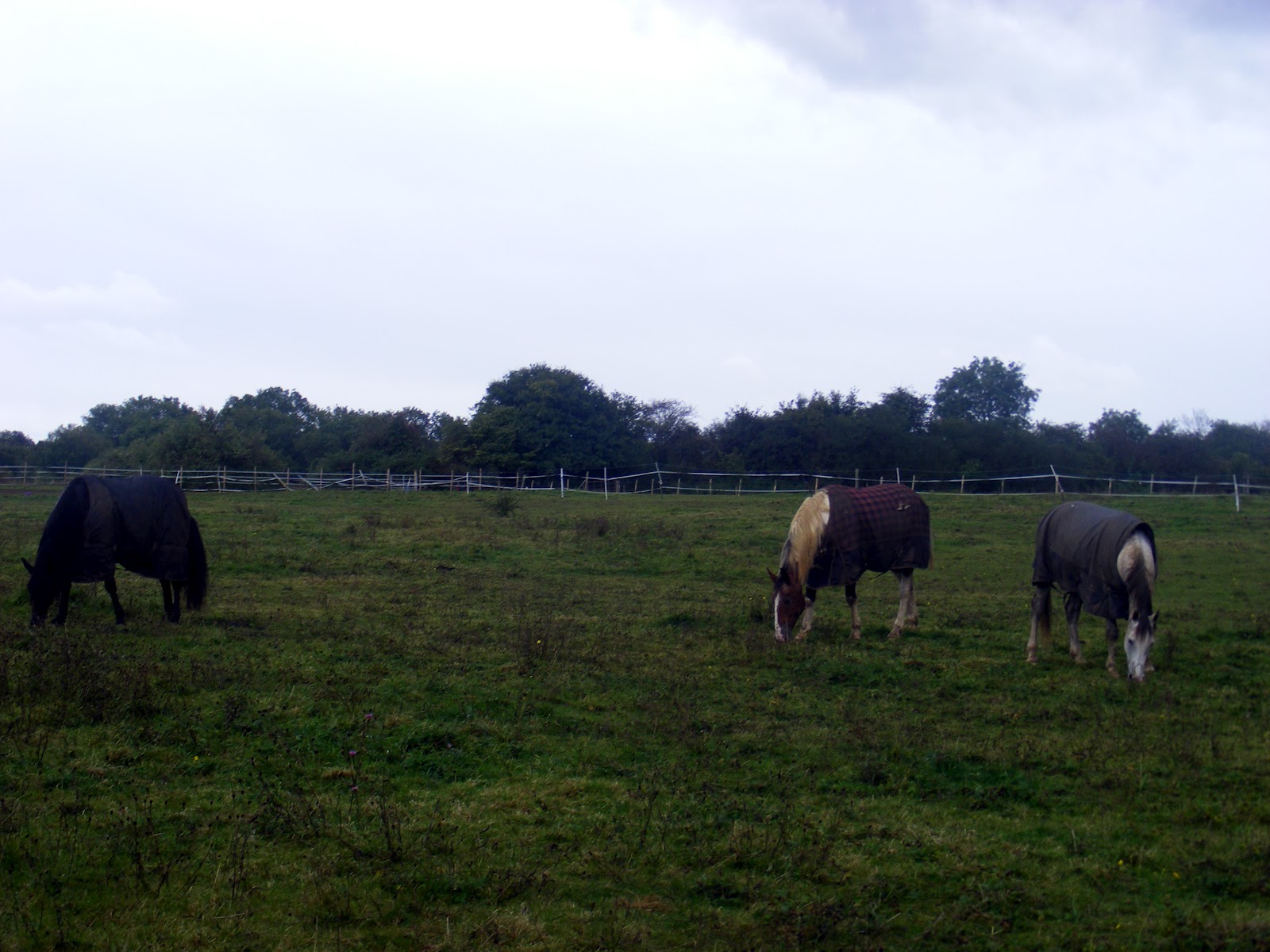 TheLondonLoop: London Loop-Hamsey Green to Banstead 3rd October 2012