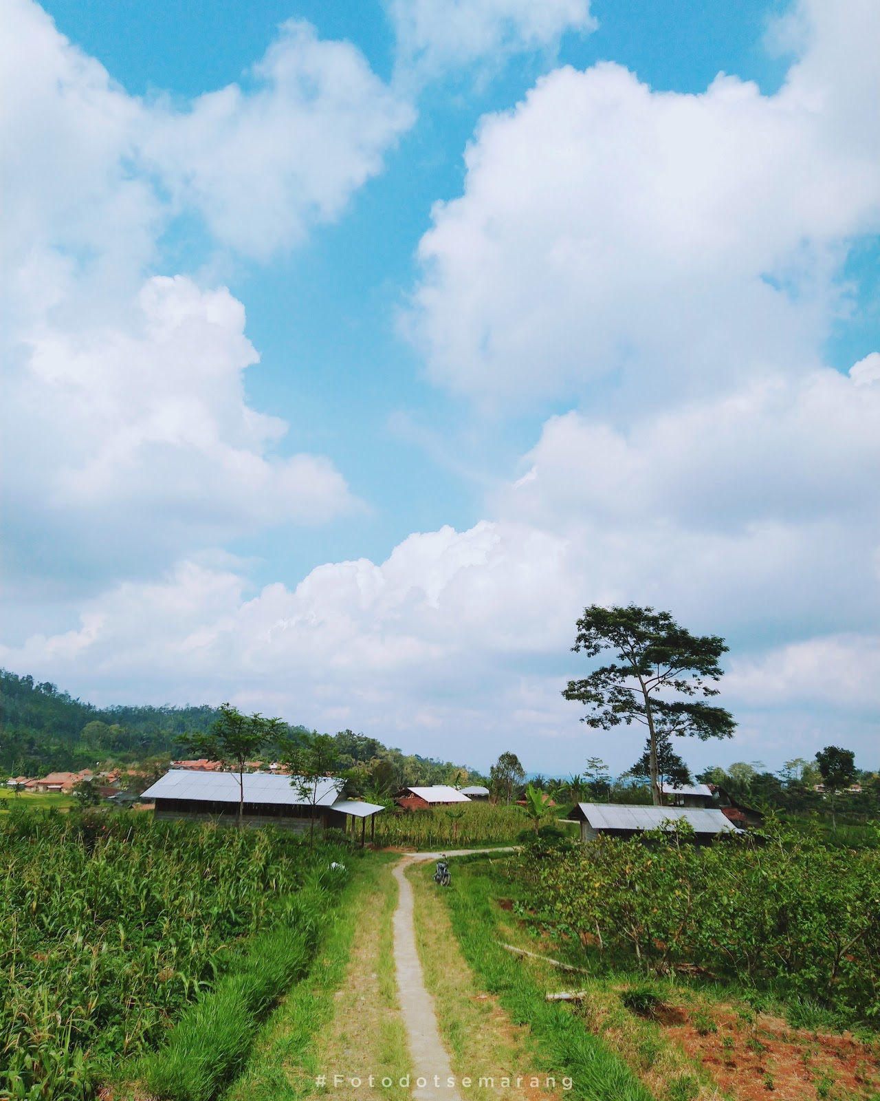 Helipad, Suguhan Panorama Alam dari Desa Wisata Sepakung