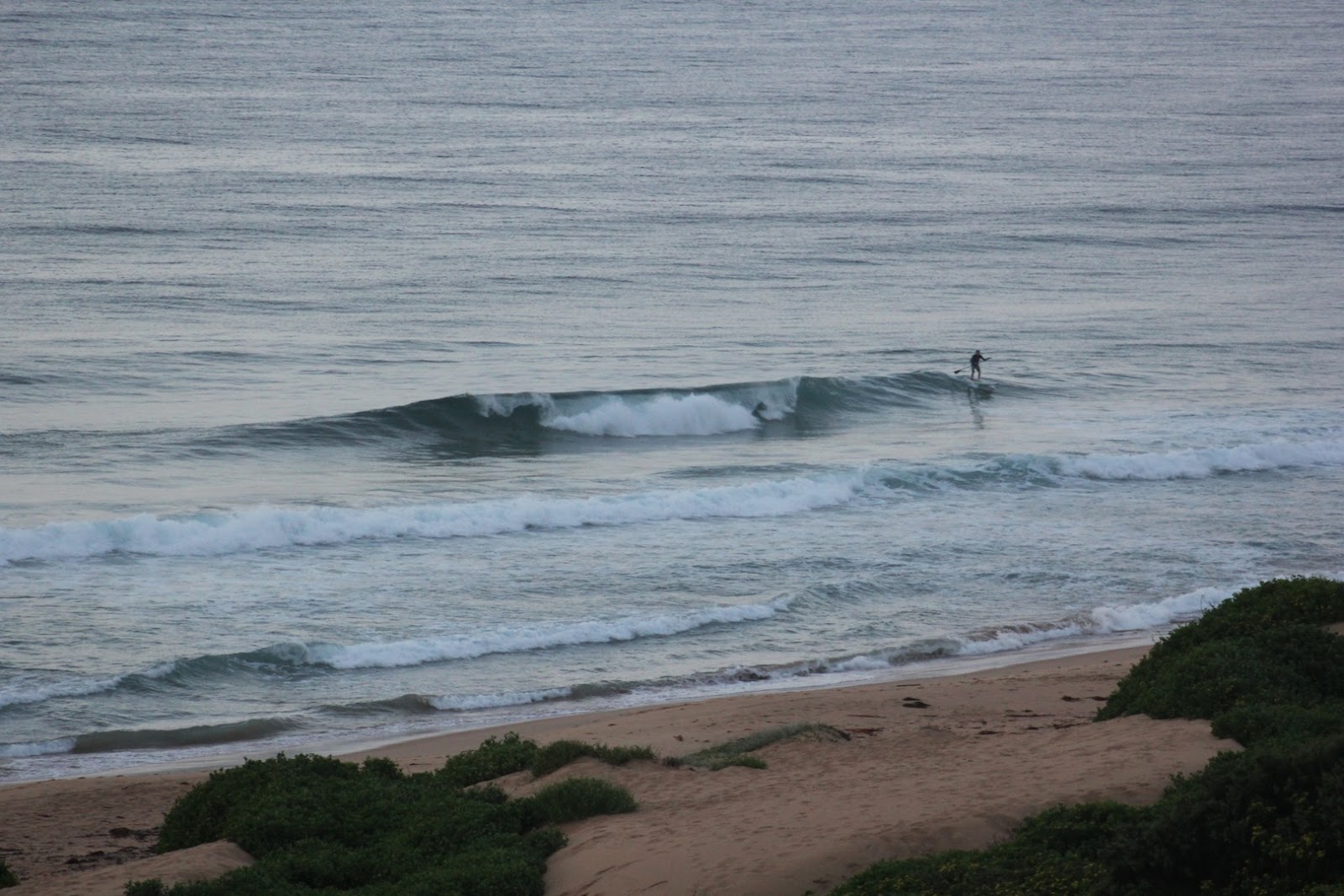 Shelly Beach Surf Report: Sunday 30th March 2014