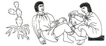 MEDICINA ALTERNATIVA: RAIZ AZTECA