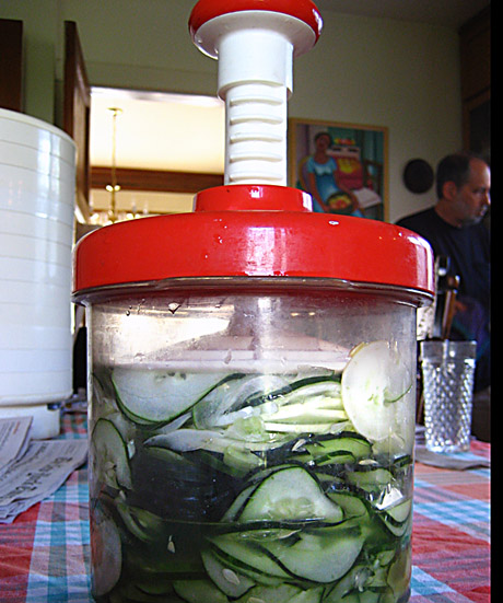 Andrea's Easy Vegan Cooking: Quick pickles in a pickle press