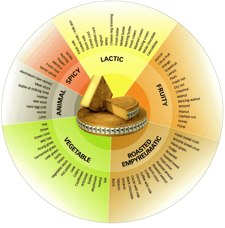 Whisky Science: Flavour wheels
