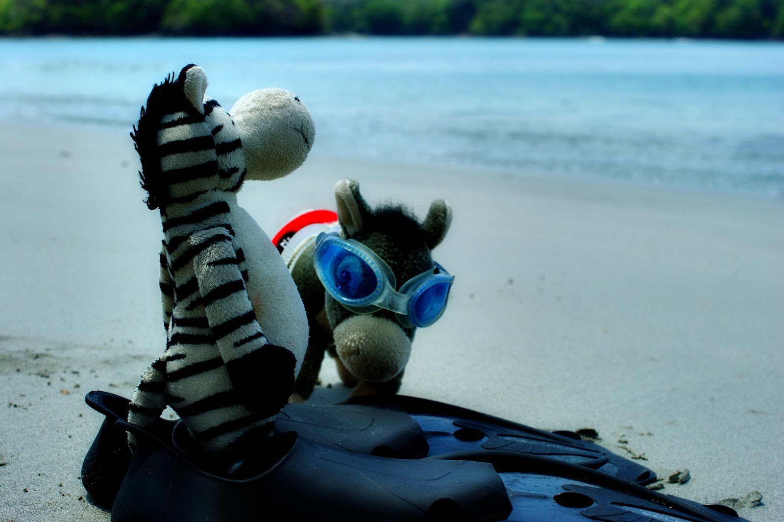 Zebresel.: Zebresel.