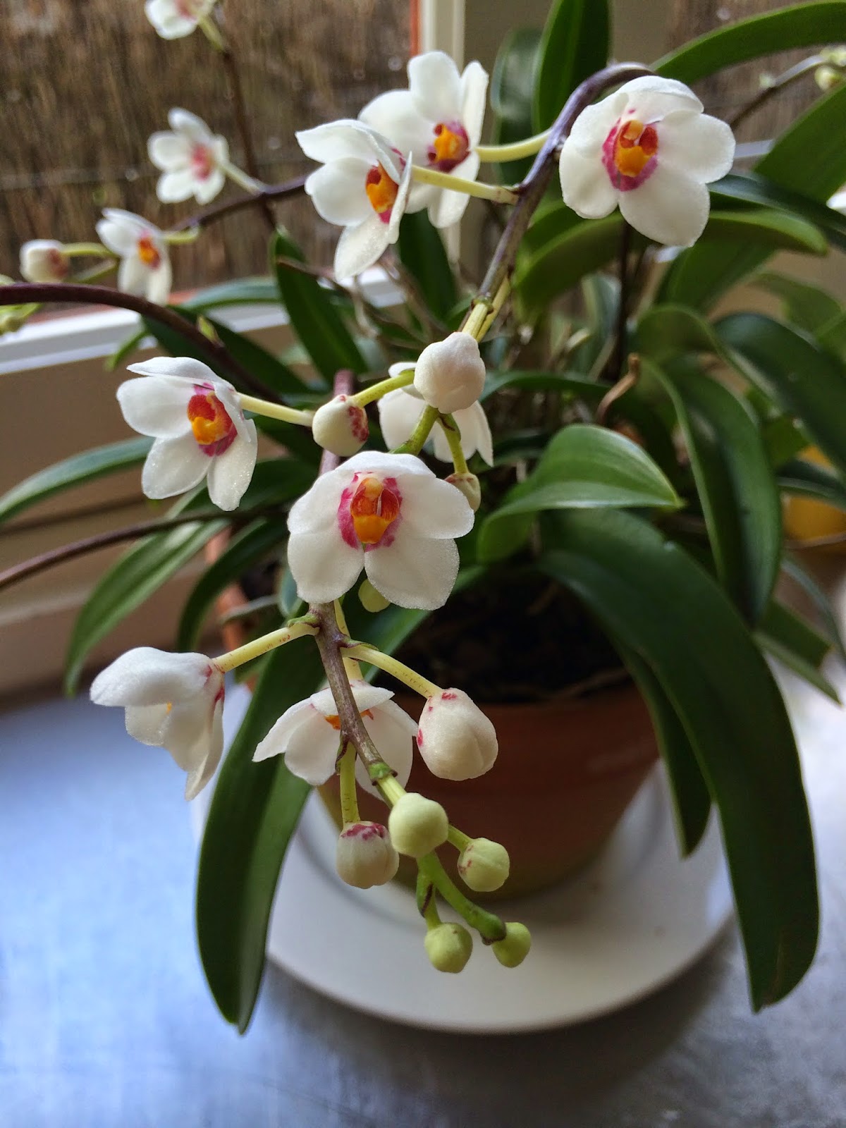 Models of Discretion - Show Me The Treasure