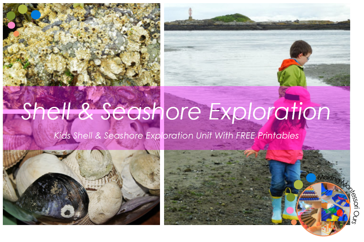 Kids Shell & Seashore Exploration - "Making Montessori Ours"