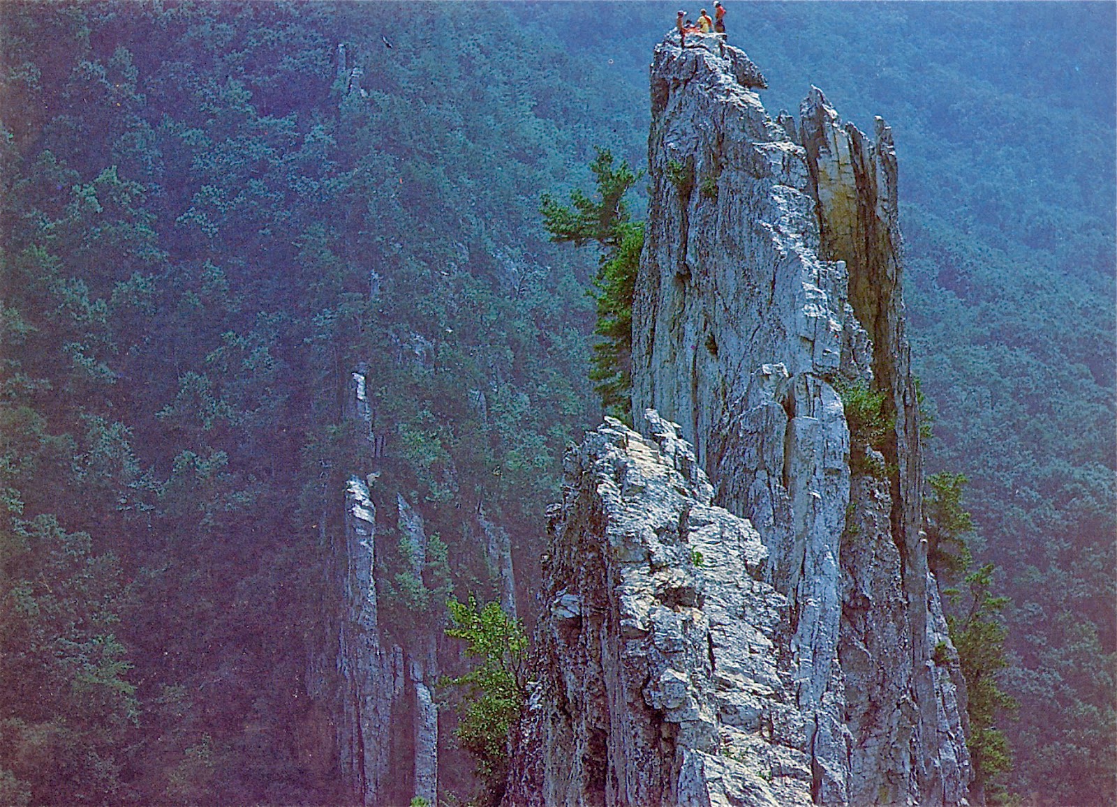 Wildfilm: Seneca Rocks, WV (Rock Climbing Part 6)