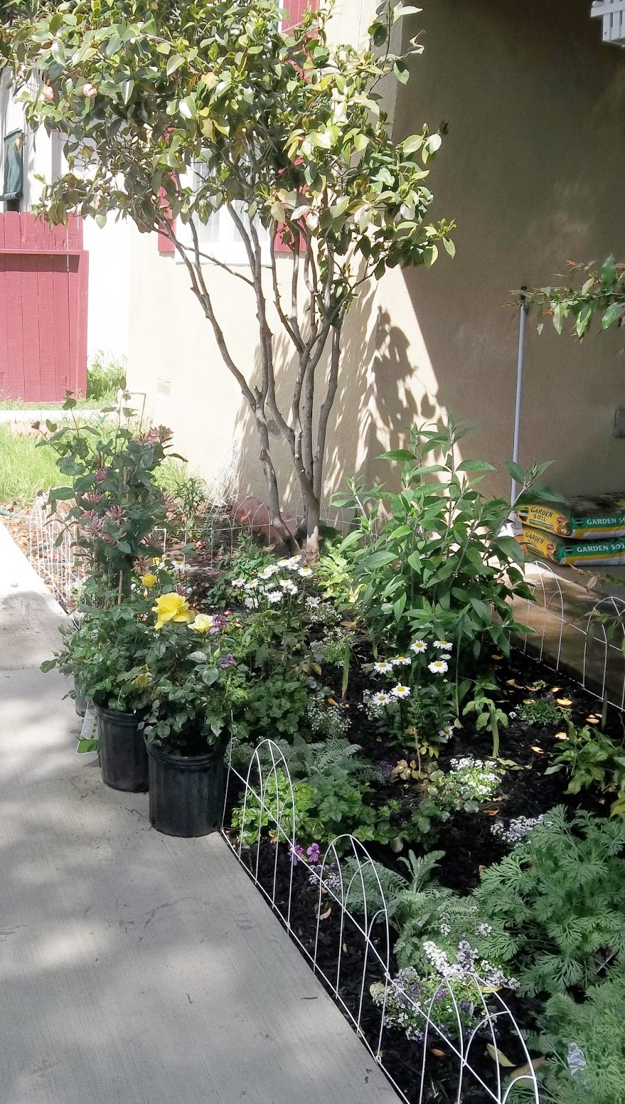 Posies, Pigs and Pop Corn ... | Ruby's Musings