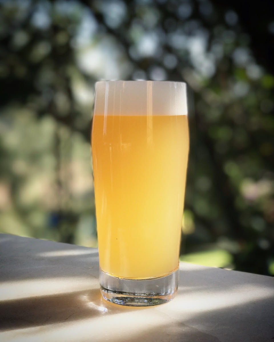 Counter Brew: Making Great Beer with Common Sense. : Pineapple ...