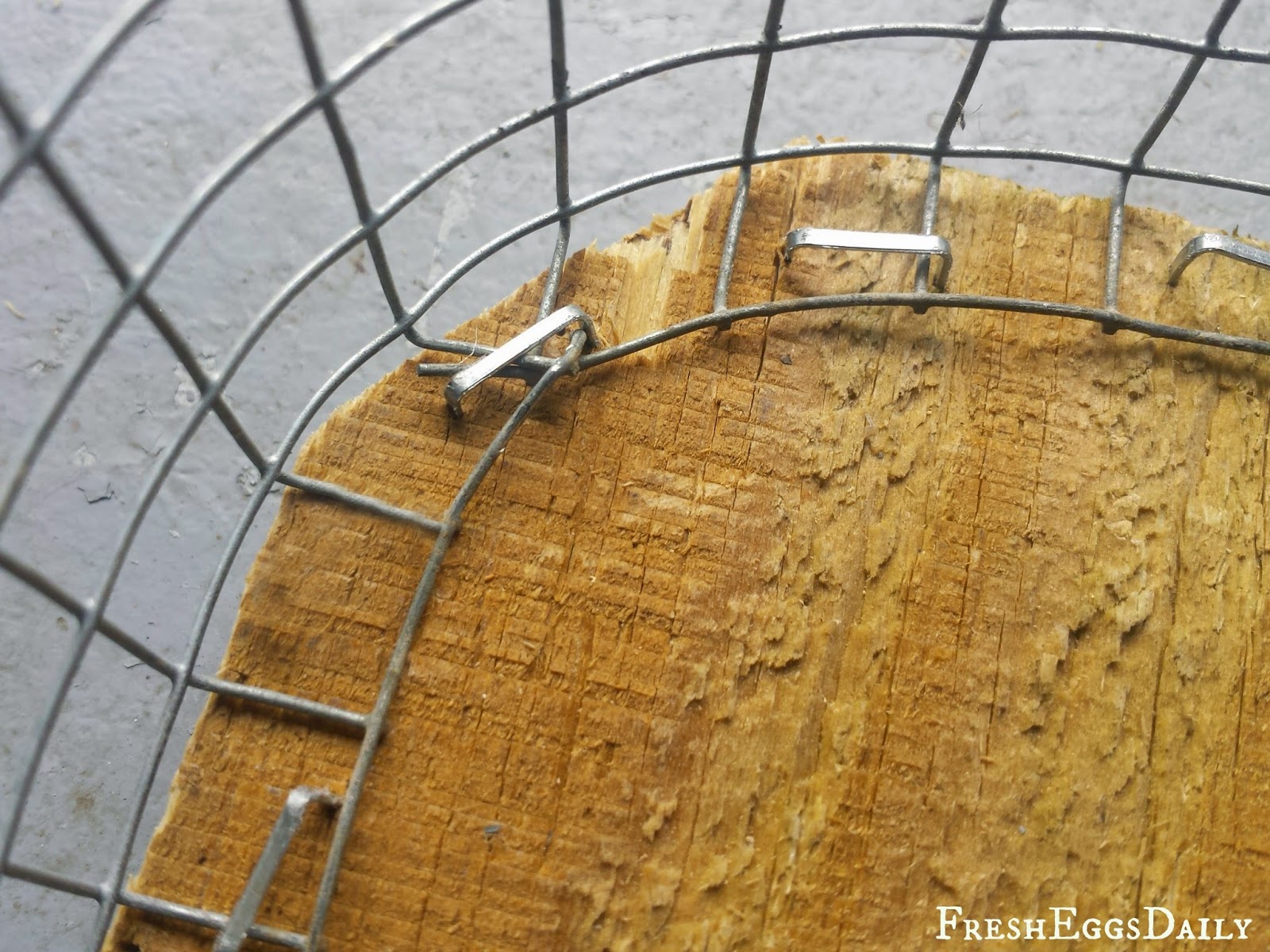 DIY Wood and Wire New England Clam Hod Egg Basket - Fresh Eggs Daily ...