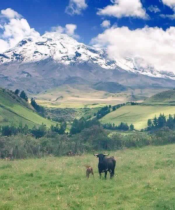 LOS ANDES ECUATORIANOS - Travel to Ecuador