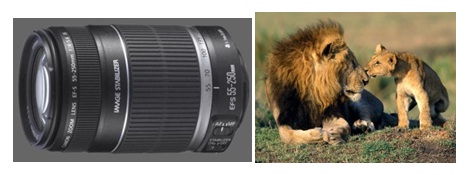 Pengertian, Macam dan Jenis Lensa Kamera + Contohnya | Ida Ayu K.A