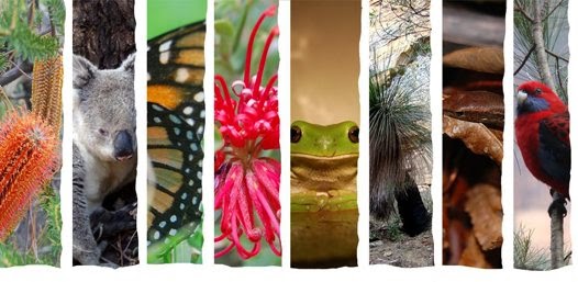 ΠΕΡΙΒΑΛΛΟΝΤΙΚΗ ΣΥΝΕΙΔΗΣΗ: Βιοποικιλότητα... μια λέξη άγνωστη για πολλούς!