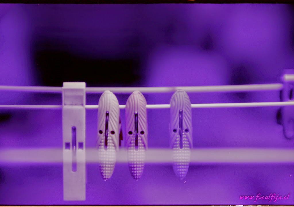 TEST: Internegative II Film 5272 - Color Print Films