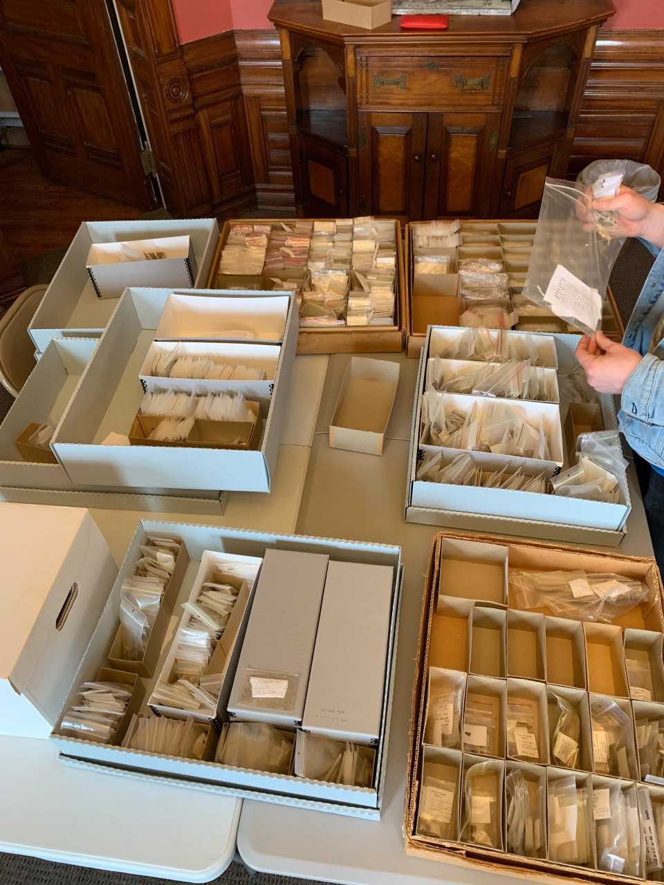 Fort St Joseph Archaeological Project Integrating Artifacts Into The Collection