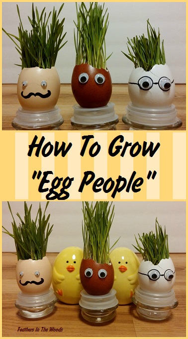 Easy craft: Google eyed egg people - Feathers in the woods