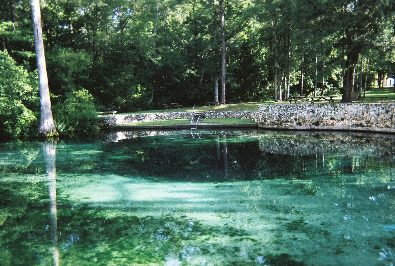 RockScotch: Silver Spring