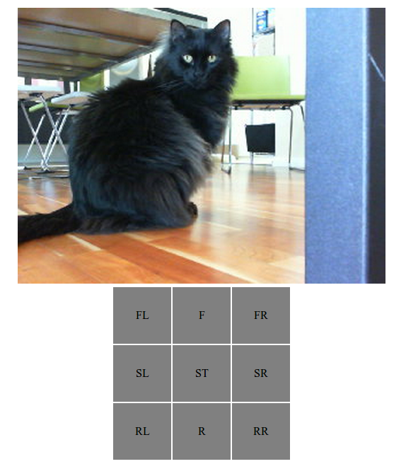 Bot Thoughts: Build a Raspberry Pi Telepresence Rover